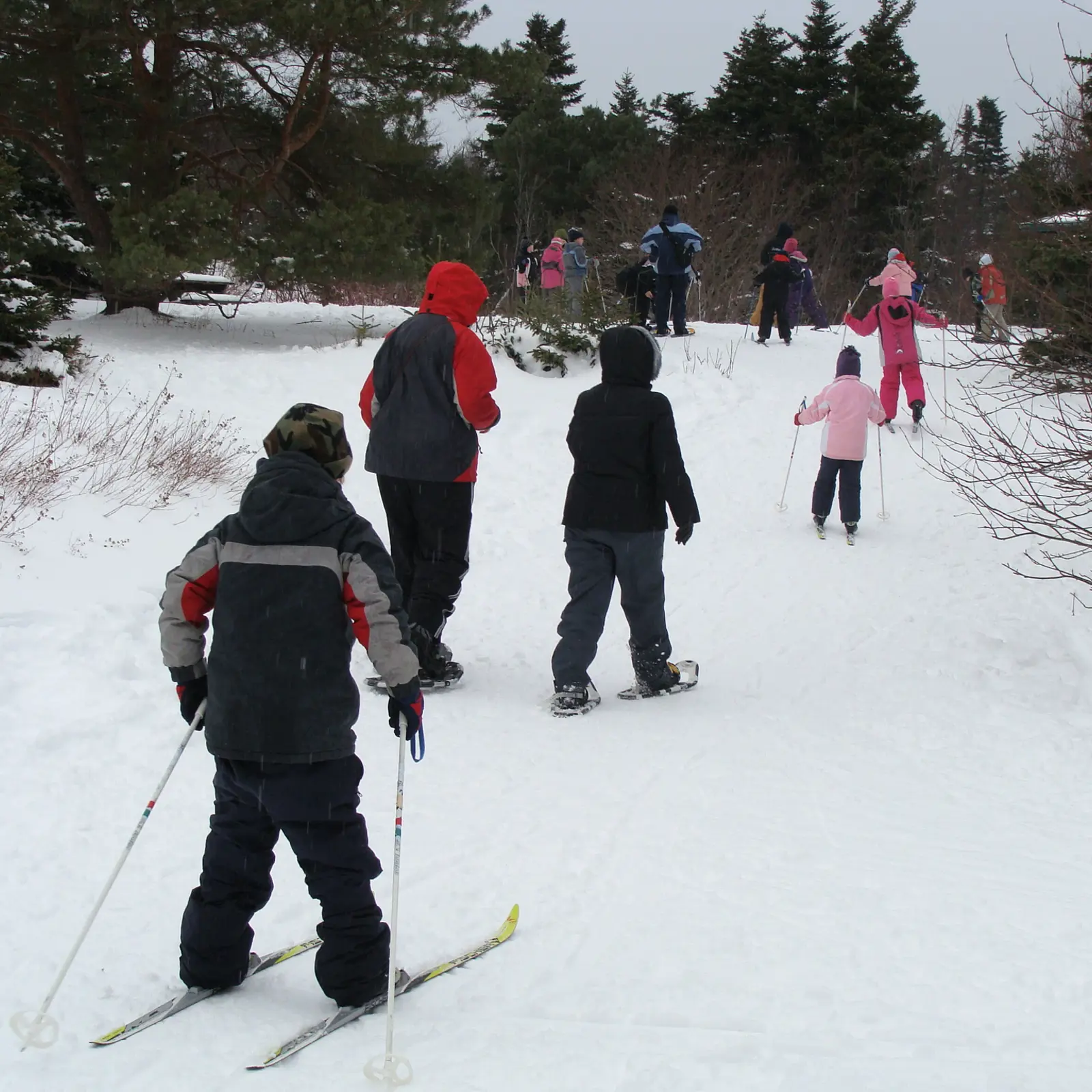 Outdoor Recreation Opportunities | City of St. John's
