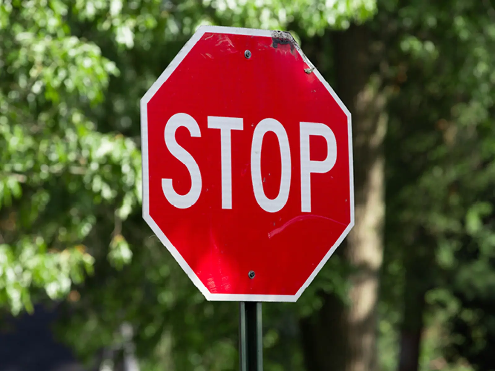 Street and Sidewalk Maintenance | City of St. John's
